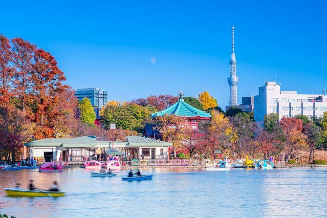 Asakusa and Ueno Half Day Tour with Local Guide - Practical Details and Value