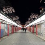 Asakusa Night Evening Walking Tour with English-Speaking Guide - The Experience: Why it Works
