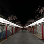 Asakusa: Night Walking Tour with English-Speaking Guide - Why This Tour Works for You