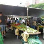 Asian Vegetarian Food and Culture Tour in NYC with Dim Sum - Practical Details: What to Expect