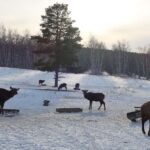 Astana: Burabay Nature, Wine, Cheese, and Horseback Ride - Why This Tour Works Well