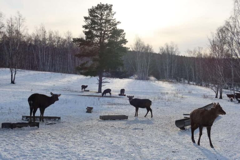 Astana: Burabay Nature, Wine, Cheese, and Horseback Ride - Why This Tour Works Well