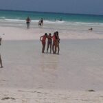 At YOUR Pace Private Tours V.I.P - Nassau, Bahamas - The Sum Up: Why Choose This Tour?