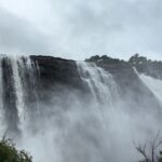 Athirappilly Waterfalls Day Trip from Kochi with Transfers - What the Reviews Say
