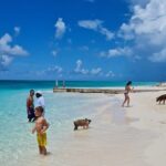 Athol Island Swimming Pigs Half-Day Boat Tour with Lunch - How It All Comes Together