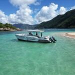 Atlantic Tours Las Terrenas - An In-Depth Look at Atlantic Tours Las Terrenas