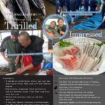 Atsumi Fish Market Live Action Exoerience - A Deep Dive into the Atsumi Fish Market Experience