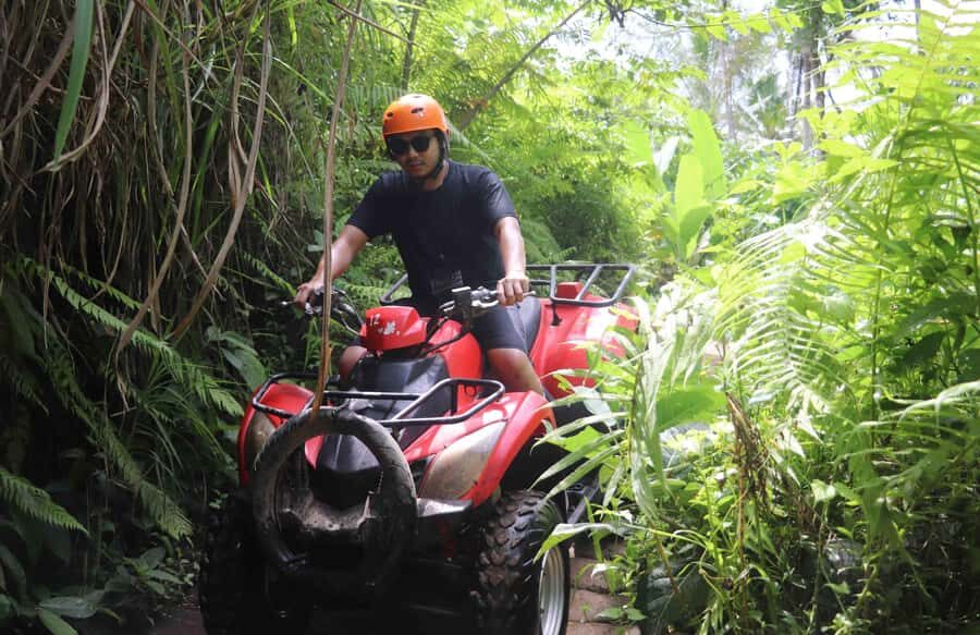 ATV Adventure & Scenic Cycling Tour in Bali - Exploring the Itinerary: What to Expect