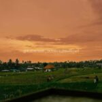 ATV Adventure with Waterfall, Tunnel, and River Ride - An In-Depth Look at the ATV Adventure Experience