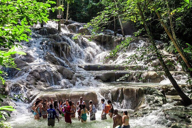 ATV and Dunns River Falls Adventure - The Practicalities: Transportation, Cost, and Booking