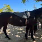 ATV, Bamboo Rafting & Horseback Ride Tour From Montego Bay - Transport and Group Size