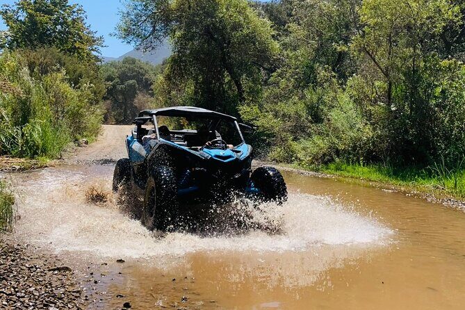 ATV Hot Water Springs Tour - The Tour Experience: What Travelers Can Expect