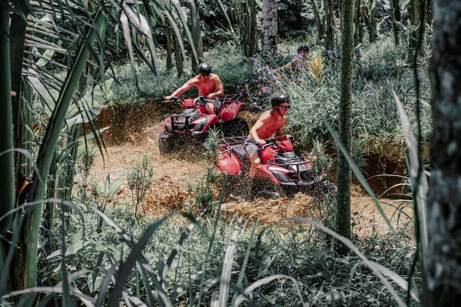 ATV Quad Bike Bali with Waterfall Gorilla Cave and Lunch - The Details: What You Need to Know