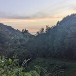 ATV Tour: Eco Friendly Scenic Bellwood Layou Rainforest - A Closer Look at the ATV Tour Itinerary