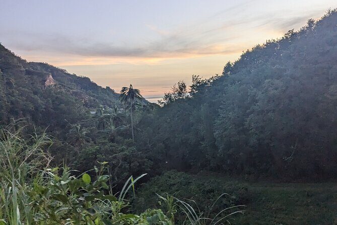 ATV Tour: Eco Friendly Scenic Bellwood Layou Rainforest - A Closer Look at the ATV Tour Itinerary