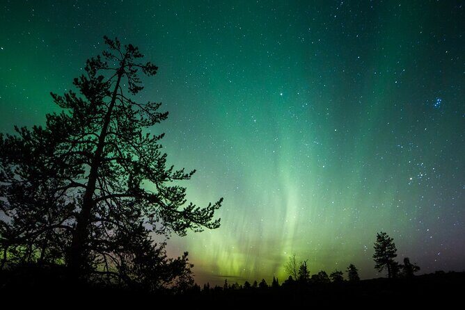 Aurora Borealis Quest: Private Yukon Nighttime Tour - Who Should Consider This Tour?