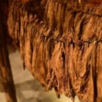 Aurora Premium Sensory Tasting Pairing, and Fine Cigar Experience - Transportation and Convenience