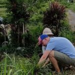 Authentic Balinese Local Life Experience in Pinge Village - The Itinerary in Detail: What to Expect