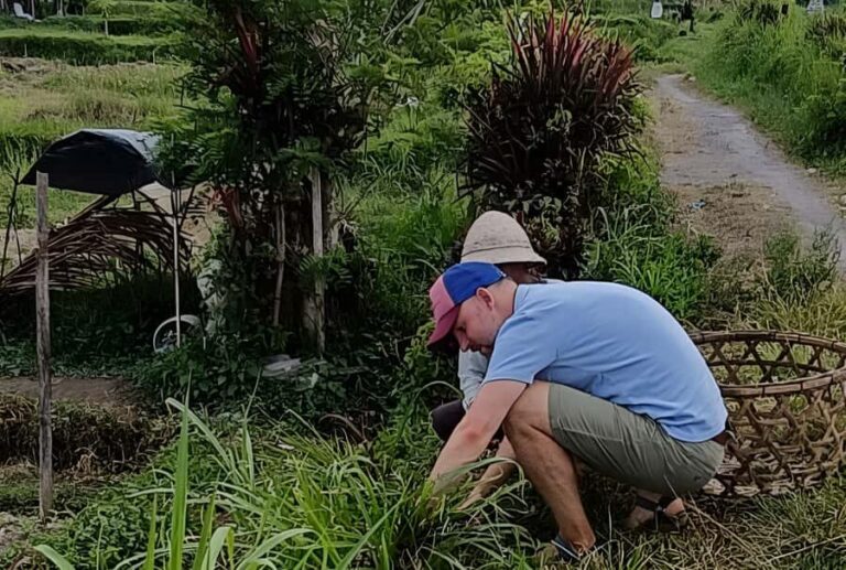 Authentic Balinese Local Life Experience in Pinge Village - The Itinerary in Detail: What to Expect