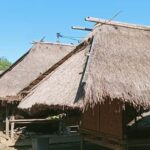 Authentic Lombok: Nature, Tradition & Historic Heritage - Practicalities and Tips for Making the Most of the Tour
