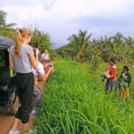 Authentic Sri Lanka: Private Transport for 7 Days Round Tour - The Value of Private Transportation in Sri Lanka