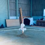 Authentic Sumo Stable Morning Training Experience Osaka - FAQ