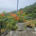 Authentic Trinidadian Cooking Class in Port of Spain - The Setting: Why It Matters