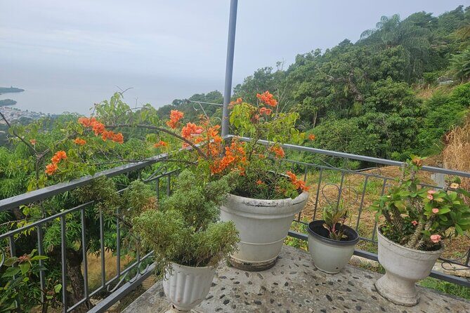 Authentic Trinidadian Cooking Class in Port of Spain - The Setting: Why It Matters