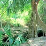 Automatic Buggy Rental 24h Live Cozumel at Your Rhythm - Value and Practical Tips