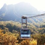 [Autumn] Mt. Seorak & Flower Festival - A Deep Dive into the Itinerary