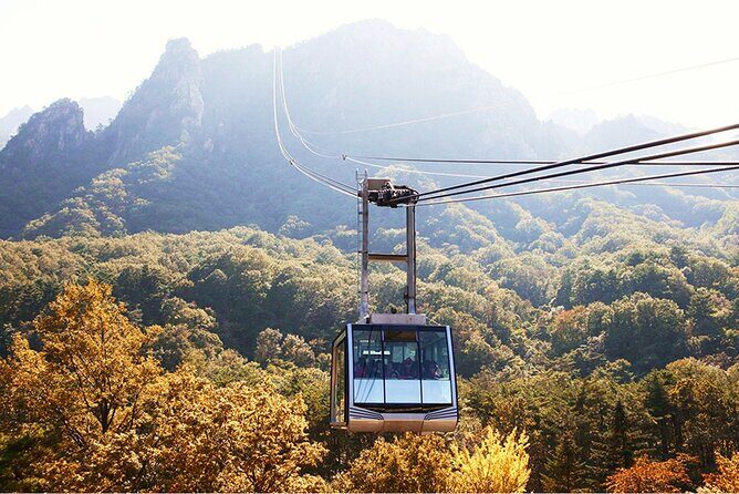 [Autumn] Mt. Seorak & Flower Festival - A Deep Dive into the Itinerary