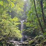 Avocat Waterfall and Maracas Bay, The Way Trinis Do It - Authentic Experiences and What Travelers Say