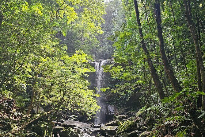 Avocat Waterfall and Maracas Bay, The Way Trinis Do It - Authentic Experiences and What Travelers Say