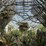 Awaji Island: Awaji Coast Whirlpool Day Trip from Osaka - A Comprehensive Look at the Tour Experience