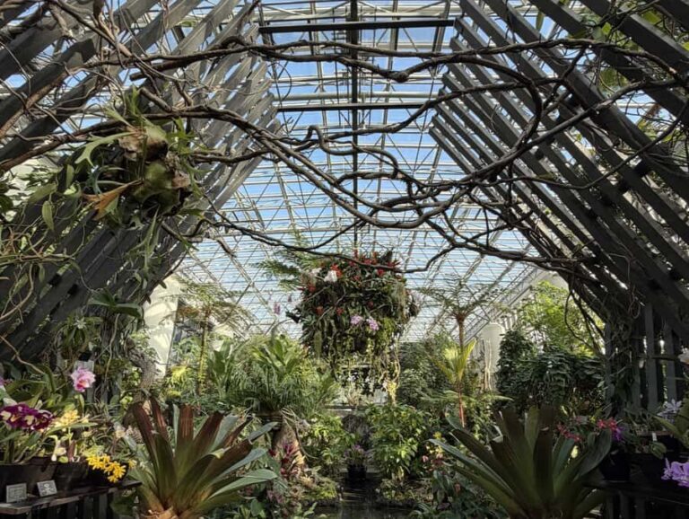 Awaji Island: Awaji Coast Whirlpool Day Trip from Osaka - A Comprehensive Look at the Tour Experience