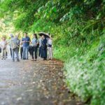 Awamori Pairing Lunch in Yanbaru Local Flavors and Traditions - Additional Practical Information