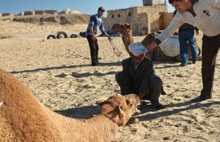 Ayaz Kala Yurt Camp Overnight Tour from Khiva - What Makes This Tour Stand Out?