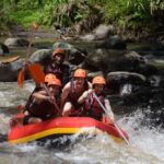 Ayung River Thrills: Ultimate White-Water Rafting Journey - Who Should Consider This Tour?
