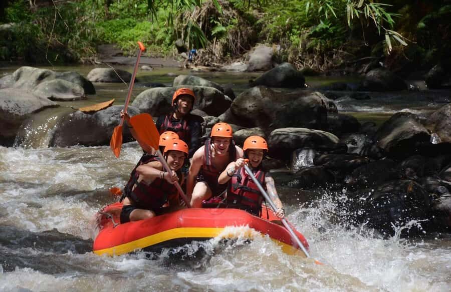 Ayung River Thrills: Ultimate White-Water Rafting Journey - Who Should Consider This Tour?
