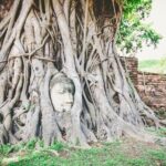 Ayutthaya City Tour and Grand Pearl Cruise from Bangkok - Exploring the Temples