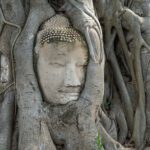 Ayutthaya Heritage Day Tour with Boats & Tuk-Tuks experience - Who It’s Best For