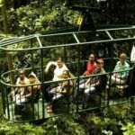 Babonneau/Castries: Rainforest Zip Line, Tram, and Hike Tour - The Experience’s Drawbacks and Considerations