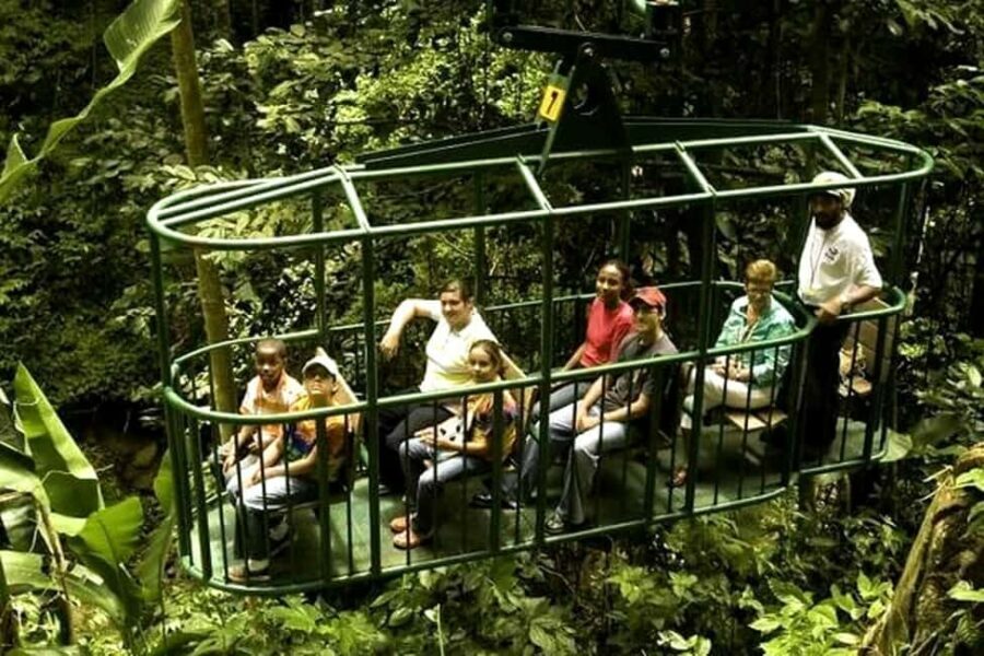 Babonneau/Castries: Rainforest Zip Line, Tram, and Hike Tour - The Experience’s Drawbacks and Considerations