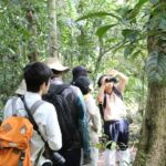 Back to Nature Trekking and Hiking at Khao Yai National Park - Itinerary Breakdown: What to Expect