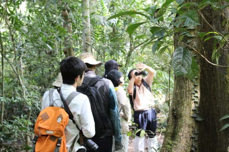Back to Nature Trekking and Hiking at Khao Yai National Park - Itinerary Breakdown: What to Expect