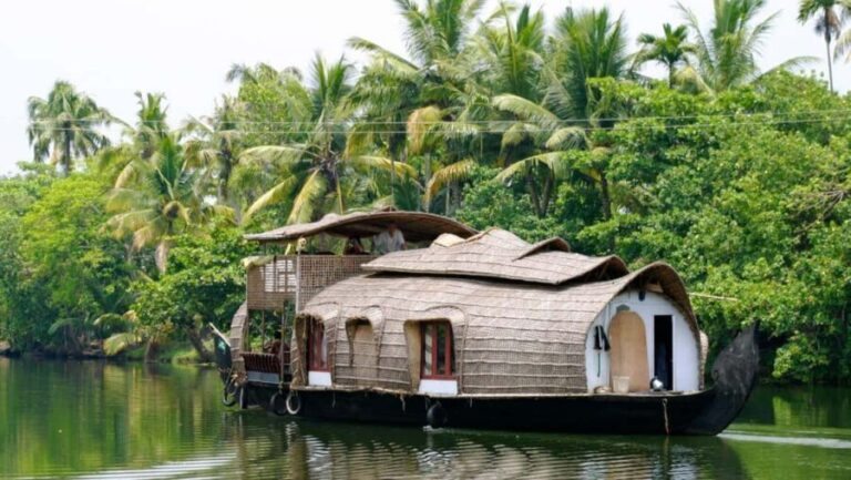 Backwater of Kerala Alleppey Houseboat Cruise Overnight Tour - An In-Depth Look at the Kerala Backwaters Experience