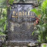 Bacolod: Mambukal Trip - Wildlife and the Bat Sanctuary: An Unexpected Treat