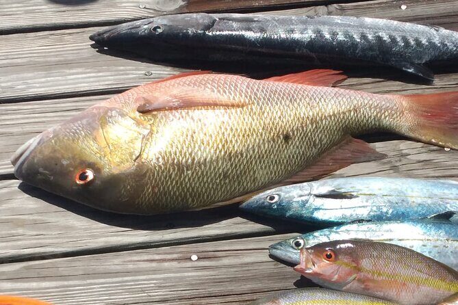 Bahamas Deep Sea Fishing - What Do You Actually Receive?