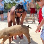 Bahamas Swimming Pigs Experience on Rose Island - FAQ