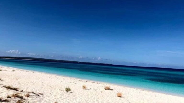 Bahía de las águilas glamping experience from Santo Domingo - What to Expect and What to Pack